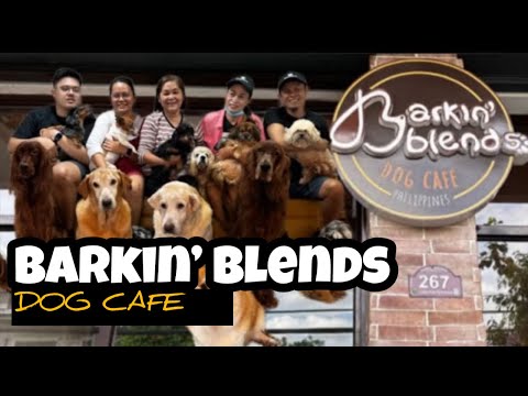 Dog Cafe in the Philippines | BARKIN’ BLENDS