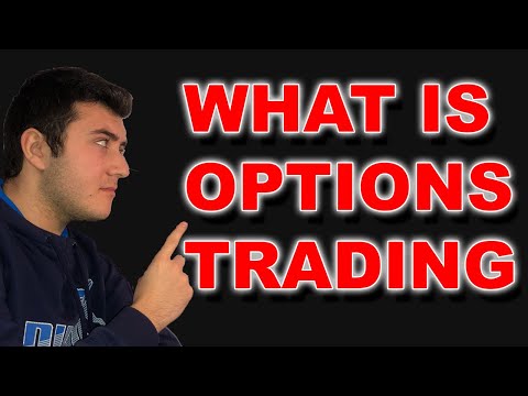 What Are Options For Beginners? What Is Options Trading In The Stock Market?