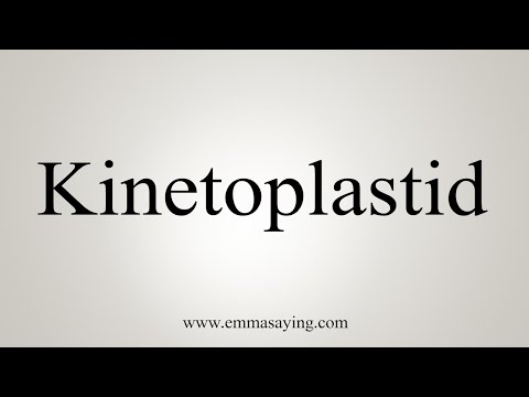How To Say Kinetoplastid
