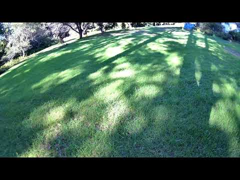 Hummingbird Buzzing Camera 9 20 23