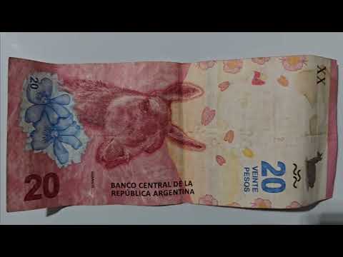 All Argentine Pesos in Circulation: A Comprehensive Look at Argentina's Currency 💵🇦🇷