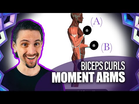 Biceps Curls - Moment Arms, Physics, & Physiology