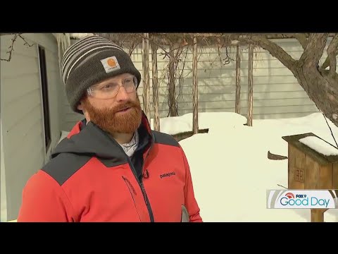 Winter landscaping work: Garden Guy