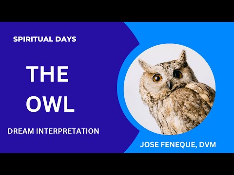 The Spiritual Significance Of Dreaming With An Owl