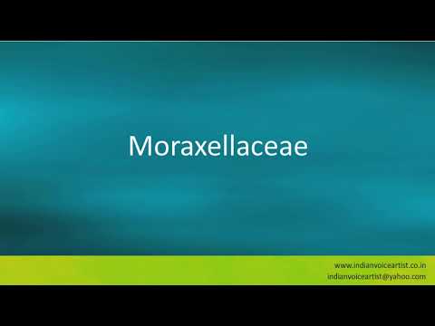 Pronunciation of the word(s) "Moraxellaceae".