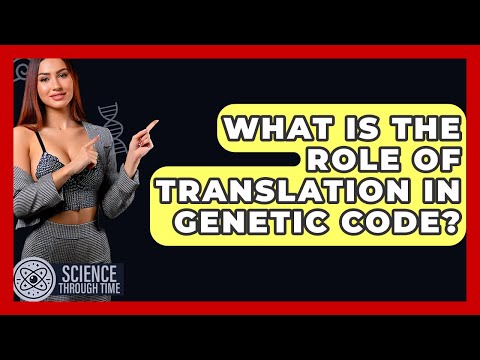 What Is The Role Of Translation In Genetic Code? - Science Through Time