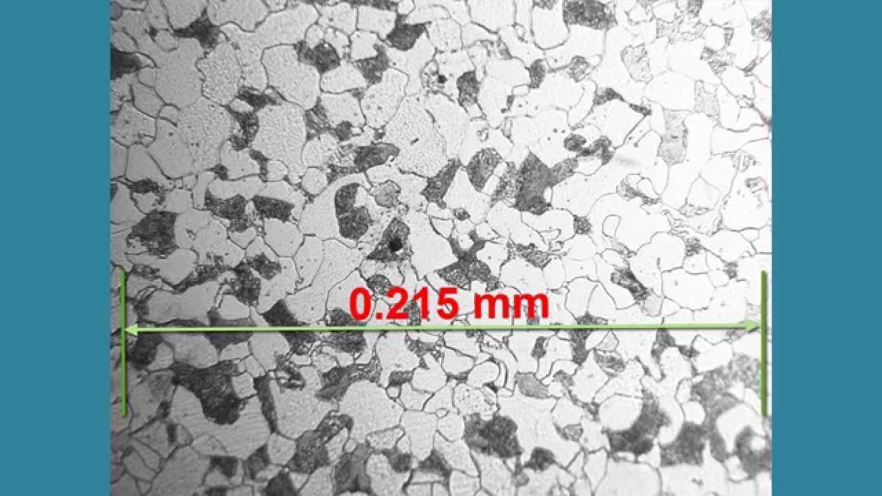 Grain Number Analysis
