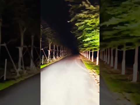 HAUNTED ROAD💀.#shorts#ghost#bhoot#Spirit#hauntedroad#like#subscribe#tree#100kview#youtube