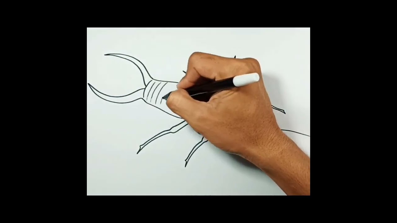 How to draw Earwig #shorts
