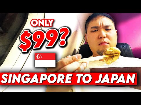 I Tested the Cheapest NEW Flight from Singapore to Japan