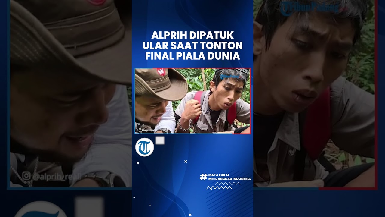 Kronologi Eks Asisten Panji Petualang Dipatuk Ular King Kobra, Pegang ...