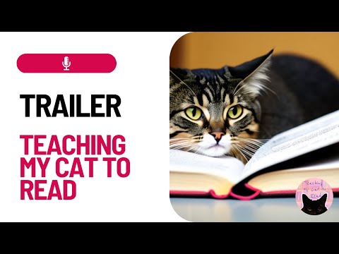 Welcome to Teaching my Cat to Read