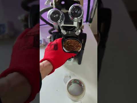 What's In Cigarette Under A Microscope?