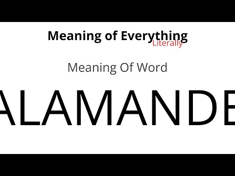 Meaning of Word - Salamander Meaning