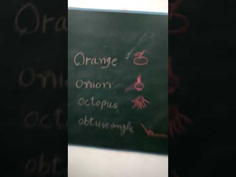 English words starting with word O