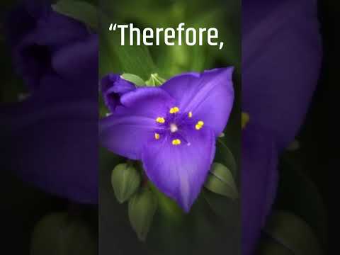 4 of Ten Bible Verses About Hope in Hard Times