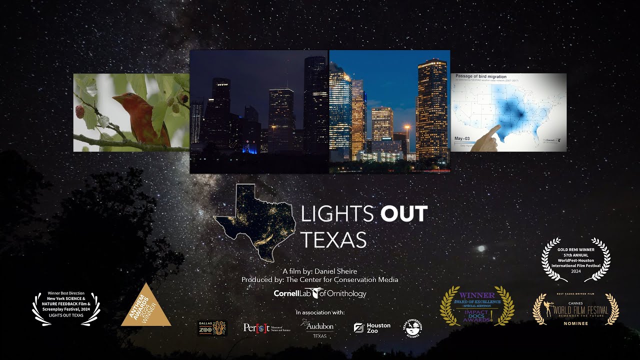 Lights Out Texas Trailer