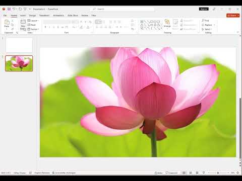 How to insert Picture Placeholder in PowerPoint