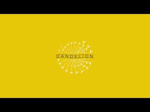 Word Origins - Dandelion by Rosetta Stone