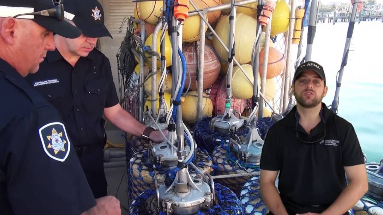 AFMA Compliance – Know what to expect during an inspection