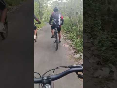 jalurnya keren melintas pohon jati di mandiro
