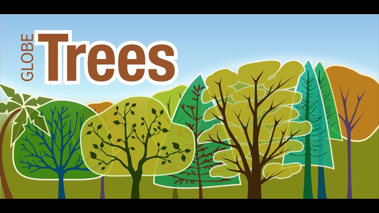 NASA GLOBE Observer: Trees