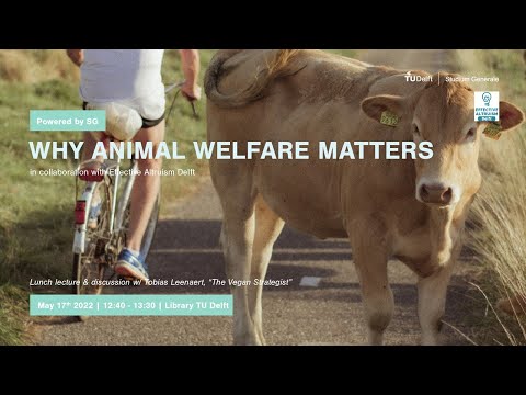 Why Animal Welfare Matters | Tobias Leenaert