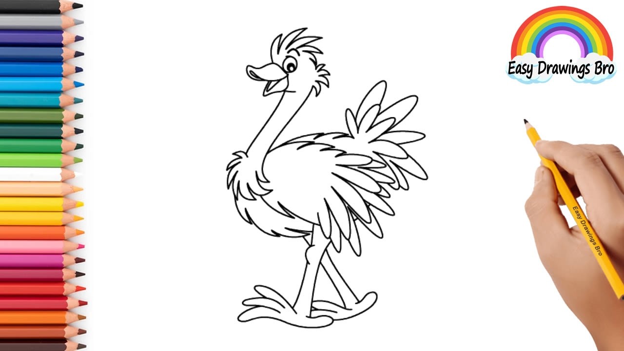 Ostrich Drawing Tutorial | How to Draw an Ostrich | Easy Drawings BRO