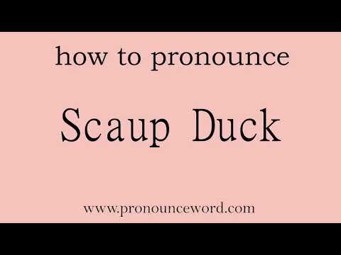 Scaup Duck. How to pronounce the english word Scaup Duck .Start with S. Learn from me.