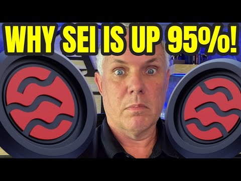 3 Reasons SEI Is Surging Over 95% Right Now! Have You Missed Major SEI Network Profits?!