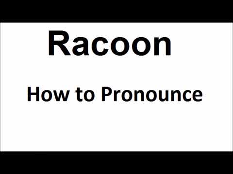 How to pronounce Raccoon||How to say Raccoon||Raccoon Pronunciation||ABDictionary