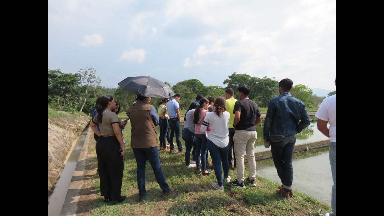 ✅𝐀𝐋𝐔𝐌𝐍𝐎𝐒 𝐃𝐄 𝐈𝐍𝐆𝐄𝐍𝐈𝐄𝐑𝐈𝐀 𝐈𝐍𝐃𝐔𝐒𝐓𝐑𝐈𝐀𝐋 𝐃𝐄 𝐋𝐀 𝐔𝐍𝐈𝐂𝐀𝐇 𝐂𝐎𝐍𝐎𝐂𝐄𝐍 𝐏𝐑𝐎𝐂𝐄𝐒𝐎 𝐃𝐄 𝐌𝐀𝐍𝐄𝐉𝐎 𝐃𝐄 𝐀𝐆𝐔𝐀𝐒 𝐑𝐄𝐒𝐈𝐃𝐔𝐀𝐋𝐄𝐒👷‍♀👷🚰