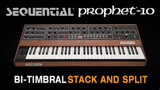 Sequential Prophet-10 Desktop Module - What To Know & Where To Buy | Equipboard