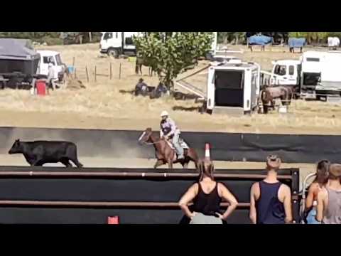 2018 Tumbarumba Open Rd 1 - Halls Chickenman & John Mitchell - 91