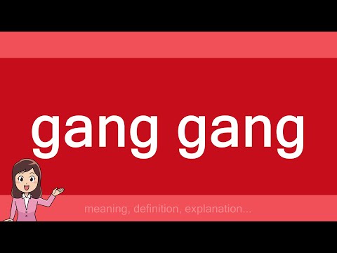 gang gang