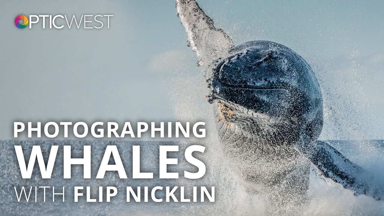 Photography & Whales - Following a Story | Flip Nicklin | #BHOPTIC