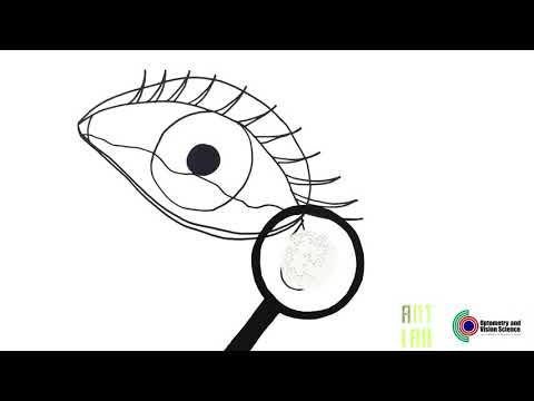 Maria Markoulli Research Profile