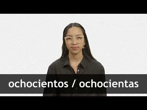 English Translation of “OCHOCIENTOS” | Collins Spanish-English Dictionary