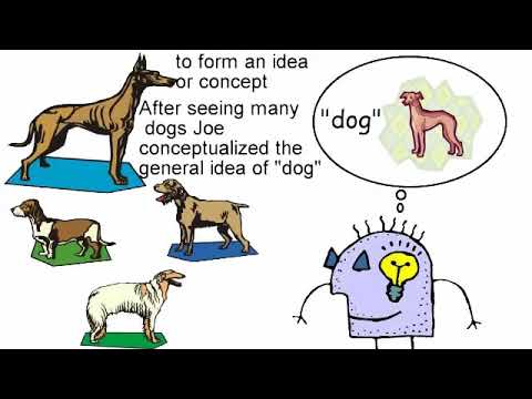 conceptualize meaning | Vocabulary for Kids | Children's Dictionary | Learn English Vocabulary