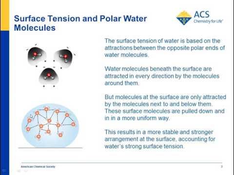 Surface Tension