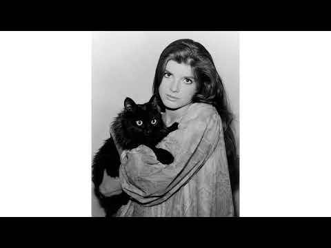 Katharine Ross Biography