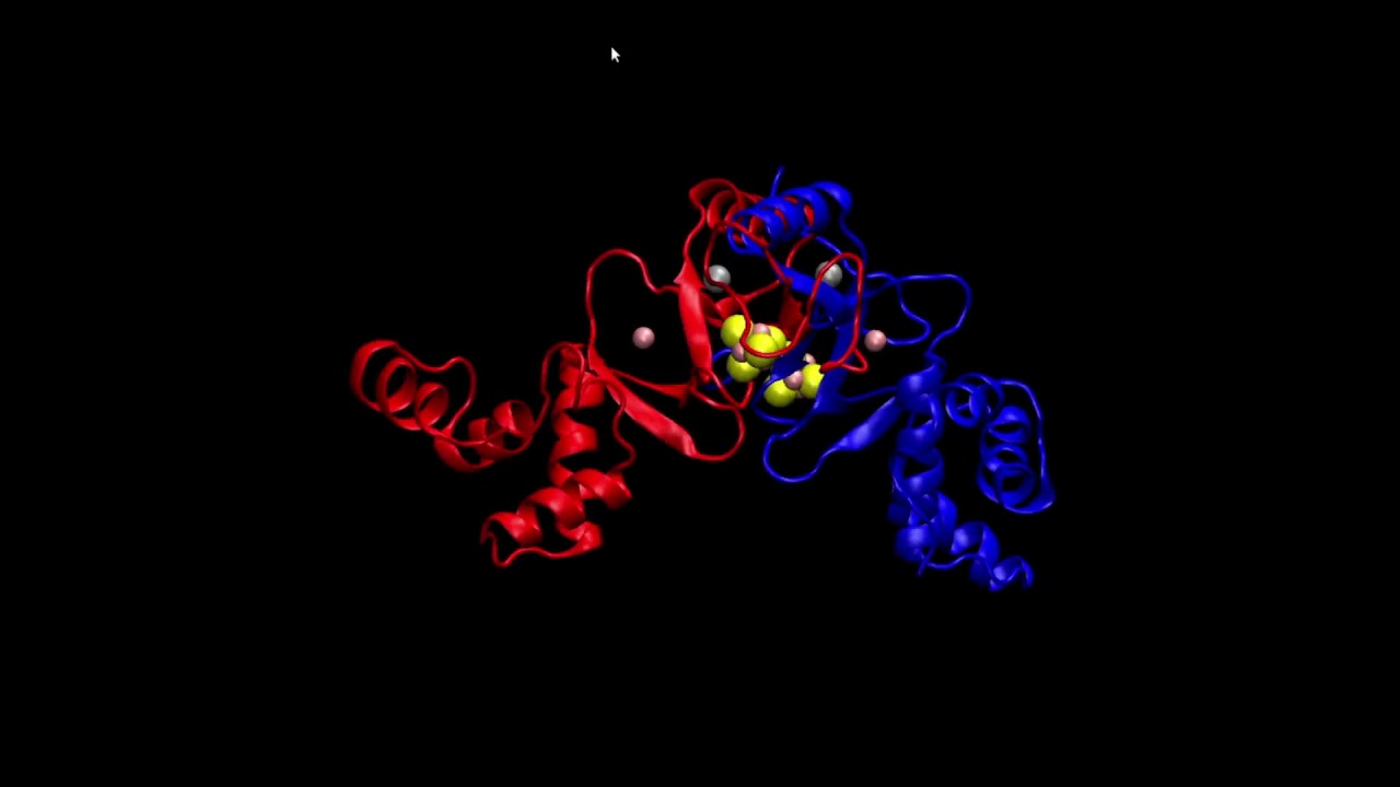 Protech - Bioinformática Estructural