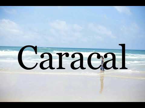 How To Pronounce Caracal๐๐๐๐๐๐Pronunciation Of Caracal