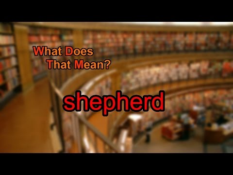 What does shepherd mean?