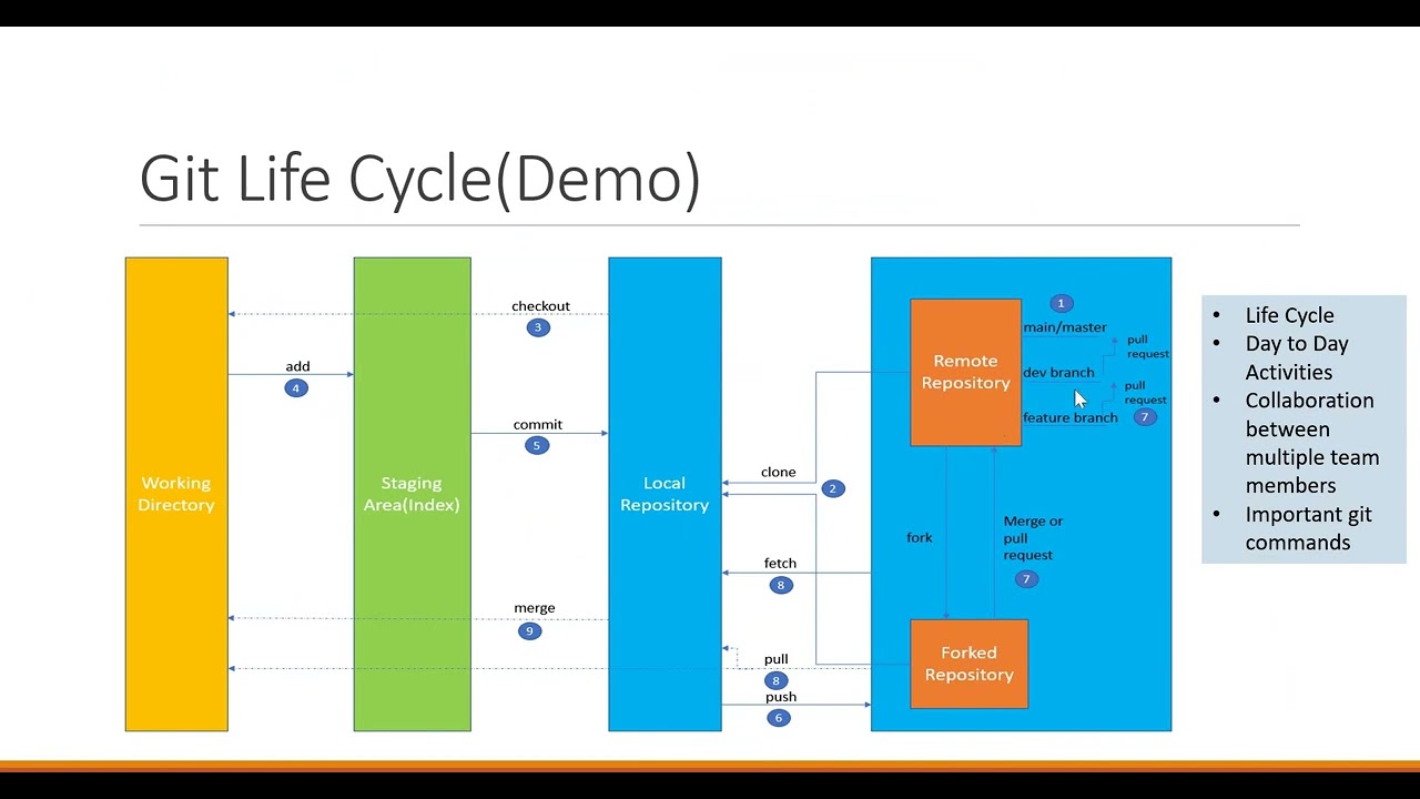 Git Life Cycle Demo(part2)