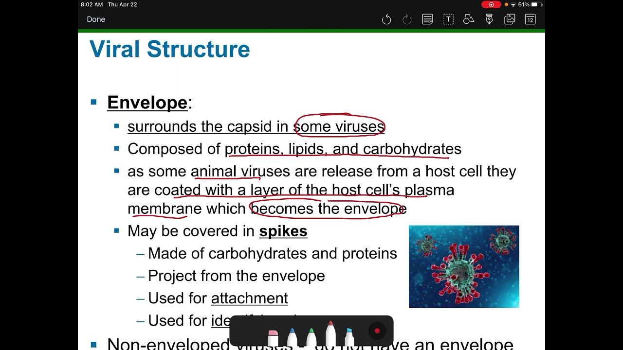 Chapter 13 PowerPoint Part 1 - Characteristics of Viruses