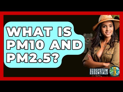 What Is PM10 And PM2.5? - Ecosystem Essentials