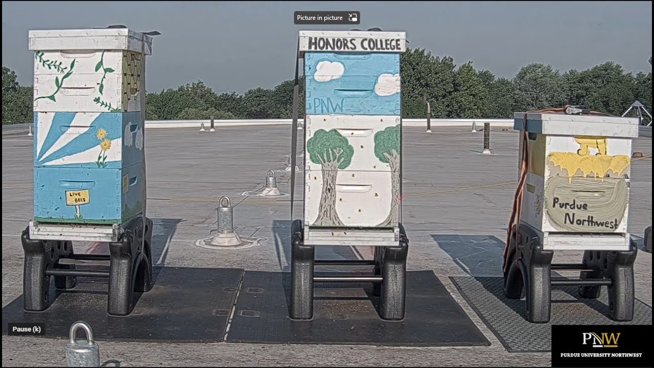 Griffith Tower Live Railcam - US Webcams