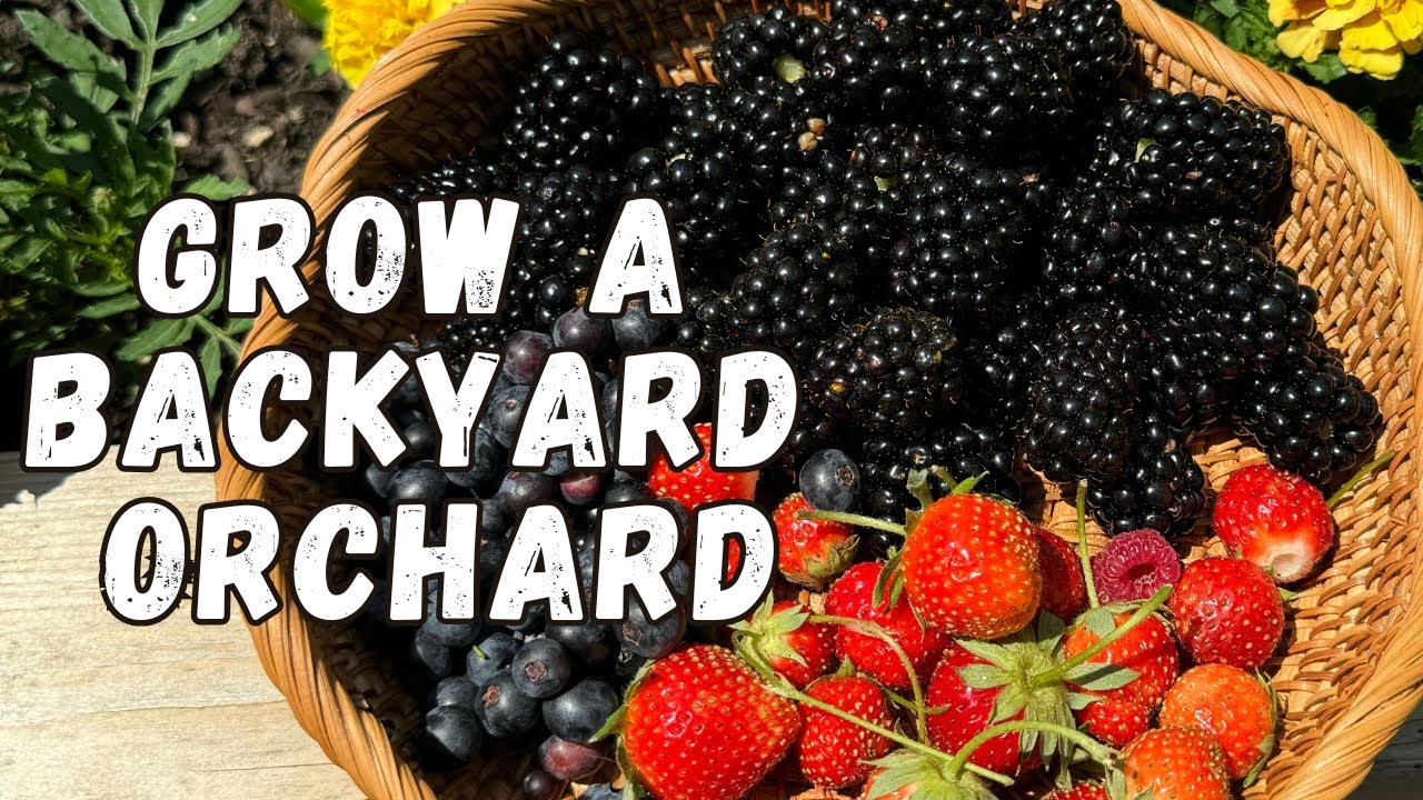 How To Grow Almost ANY Fruit In Containers!