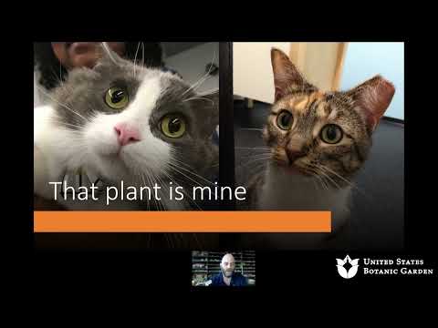 Can My Cat Nibble That? Plants and Pets with a Vet (Online Q&A)